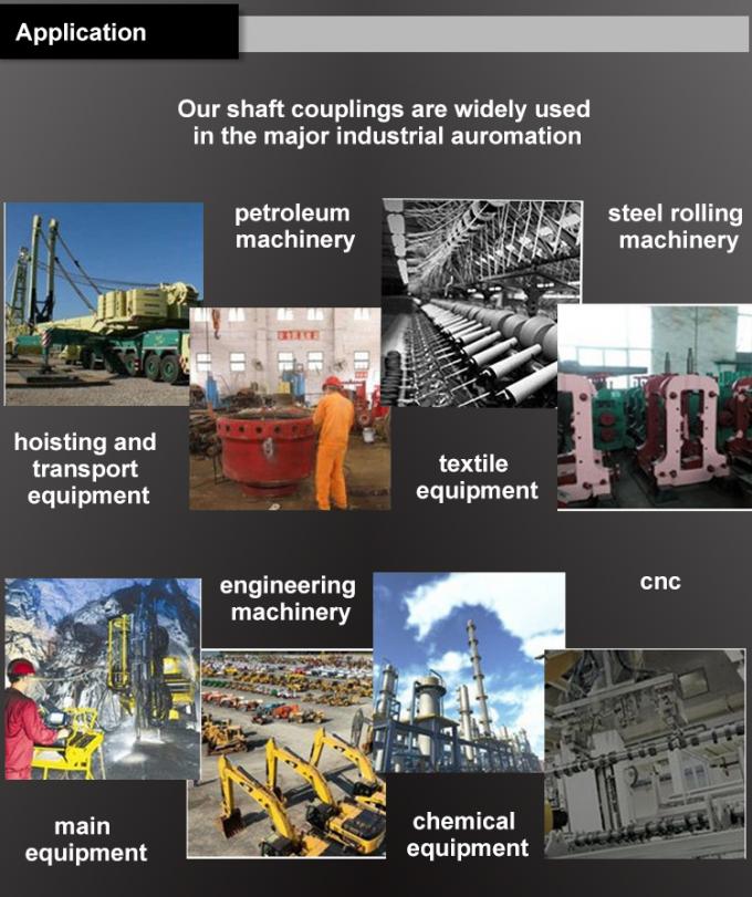 Flexible Pin Bush Coupling Cast Iron Power Transmission Couplings